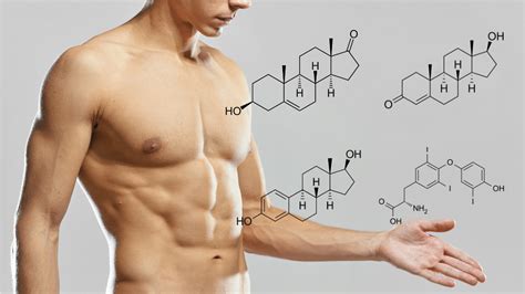 Articles Archive Max Wellness Clinic