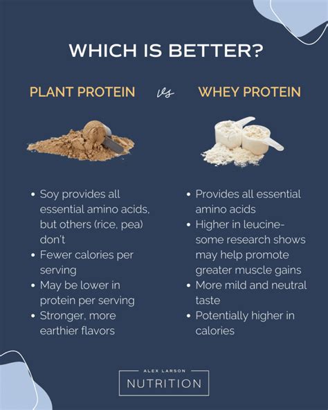 Plant Protein Vs Whey Protein Which Is Better