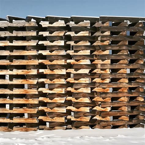 Turtle Table Images — Young Projects