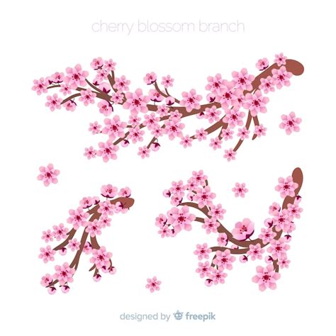 Free Vector Cherry Blossom Branch Pack