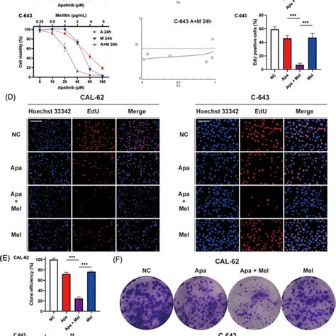 Apatinib And Melittin Had A Synergistic Effect On The Treatment Of Atc