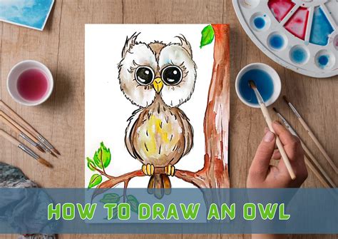 How To Draw An Owl With Numbers