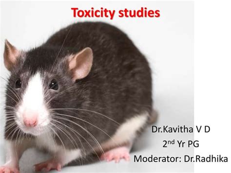 Toxicity Studies Pptx