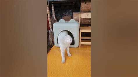 비가와유 엄마와 아들 시골도공네 경자가족 Youtube