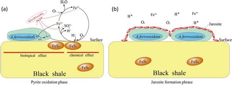 Chemical Weathering Oxidation Process