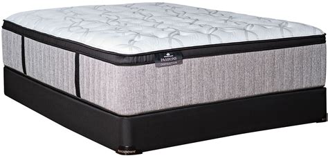 Twin Mattress Extra Long Passions Inspiration Firm Twin Extra Long