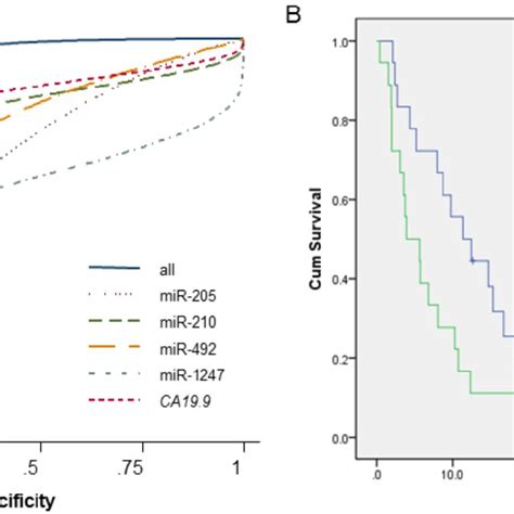 Hierarchical Clustering Analysis Of Microrna Microarray Expression Download Scientific Diagram