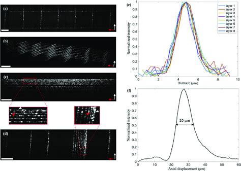 A Secm Image Of The First Layer Of Distortion Pattern B 3d Render