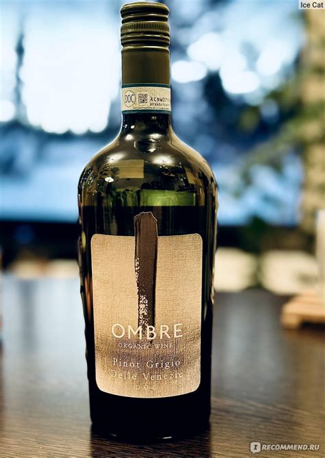 Вино Ombre Пино гриджио белое полусухое - «Для любителей белого ...