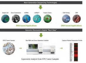 Oncobloc FFPE Collections Sapien Biosciences