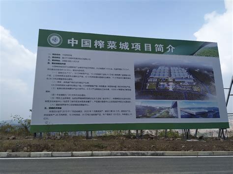 令人振奋 关于榨菜城的消息财富号东方财富网