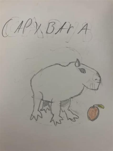 I Made Some Capybara In School Sorry If Its Stretched Out I Took It On My Phone Rcapybara