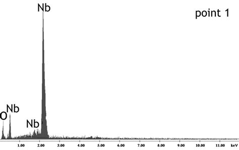 Sem And Optical Microscope Micrographs A Of Unetched Microsection Of Download Scientific