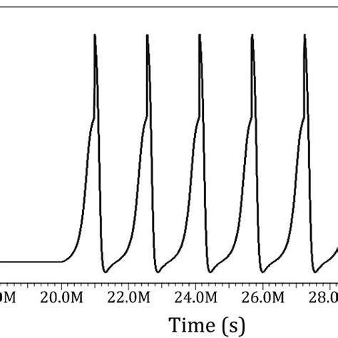 The Output Signal Of The Neuron With Polarization Typical For Human Download Scientific Diagram