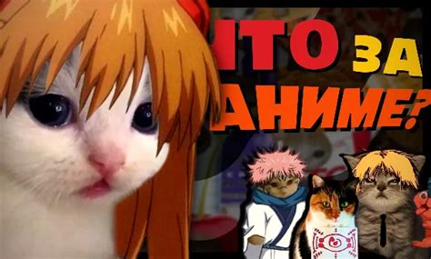 Тест Угадай аниме по мему с Котом Собакой