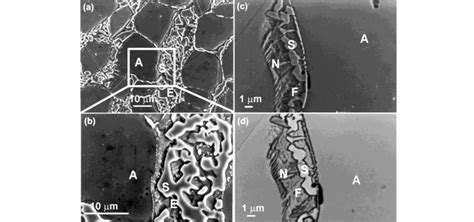 Sigma Phase Formation In The Duplex Region Of The Adn Steel A And B Download Scientific