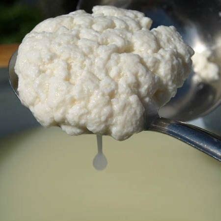 Сичужний фермент(пепсин)