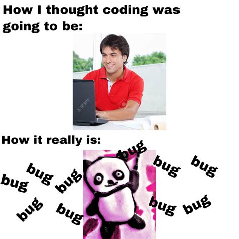 Bugs Suck But Ok Rprogrammerhumor