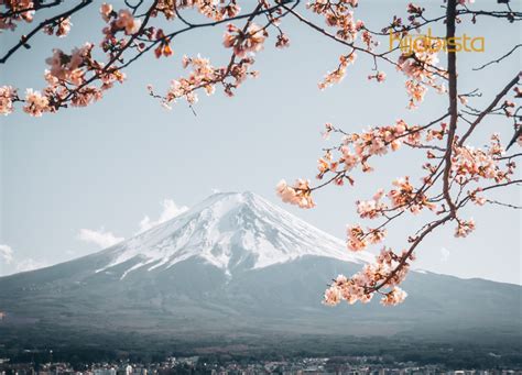 Indahnya Gambaran Tentang Syurga Yang Dijanjikan Oleh Allah Swt Dalam