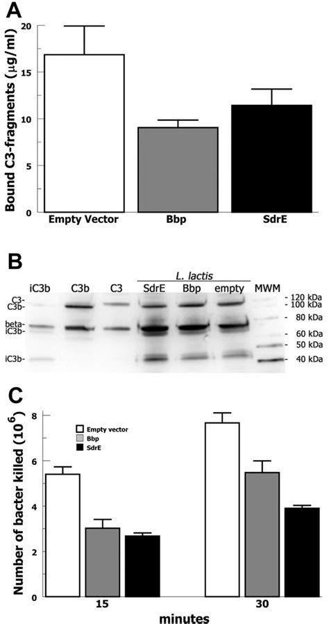 Functional Testing Of Complement Mediated Opsonization And Download Scientific Diagram