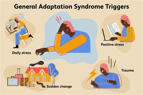 The Three Successive Phases Of The General Adaptation Syndrome The