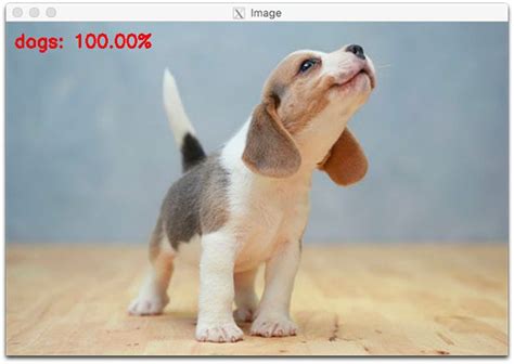 Pyimagesearch Blog Zh Docs Keras Tutorial How To Get Started With Keras