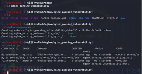 中间件安全andcve复现andiisandapacheandtomcatandnginx漏洞复现 cn sec 中文网