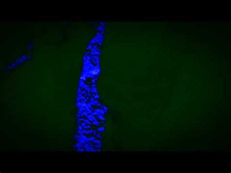 Candid Hand Trampling Youtube