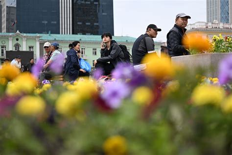 Нийслэлийн таван дүүргийн 20 байршилд 15 нэр зүйлийн 321 мянган цэцэг суулгана