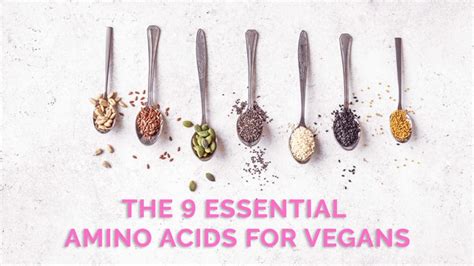 Vegan Amino Acids Powder At Lily Howchin Blog