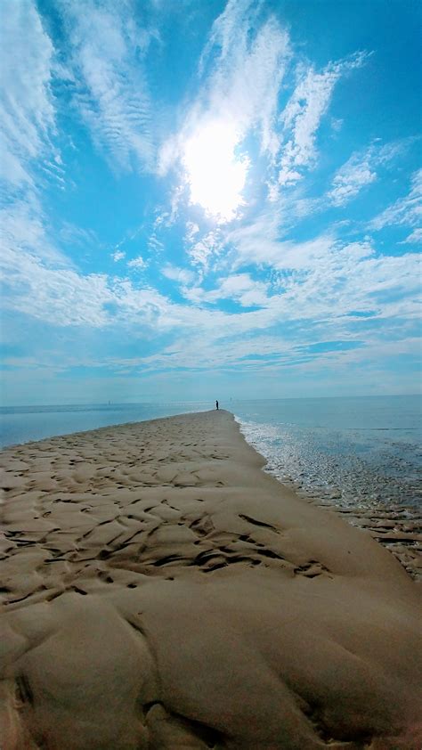 Natural And Archaeological Features Of Bald Point Florida State Parks