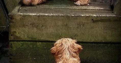 Memories To Be Made Imgur