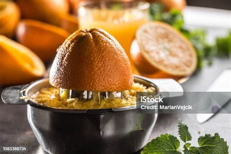 신선한 오렌지 과즙 기 주스 열 대 과일 그리고 콘크리트 보드에 허브 감귤류 과일에 대한 스톡 사진 및 기타 이미지 감귤류 과일 건강한 생활방식 건강한 식생활