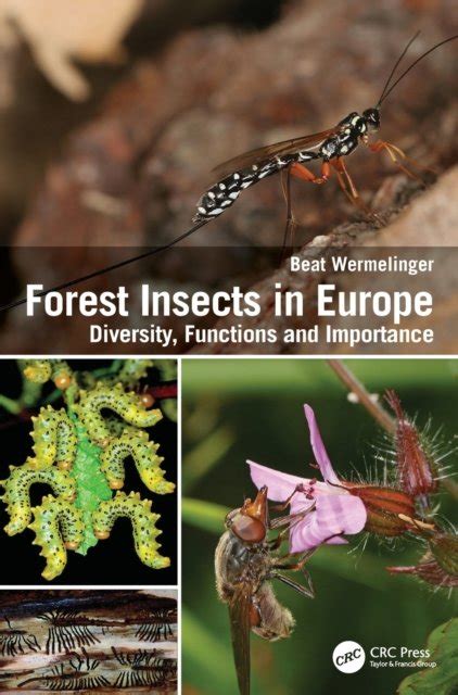 Forest Insects In Europe Diversity Functions And Importance Opracowanie Zbiorowe Książka W