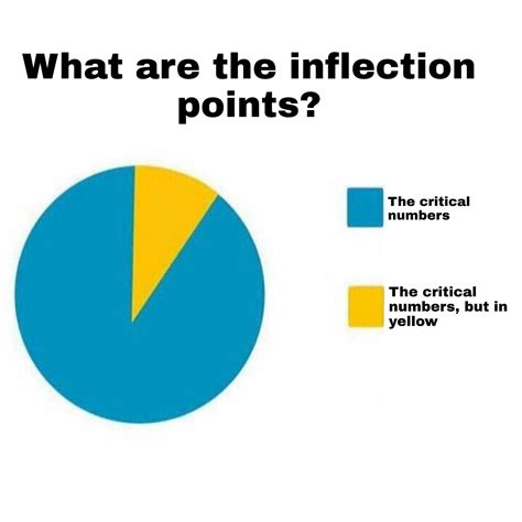 Me Unsure Of What Inflection Points Are Nervously Putting In The Critical Numbers I Used R