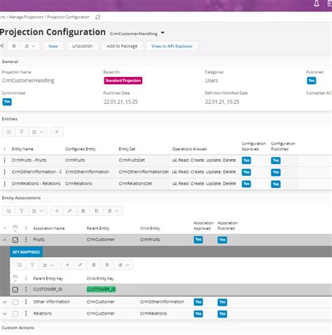 Aurena Attached List Of A Projection Should Add Primary Key To A New