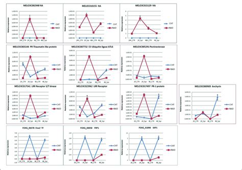 Qrt Pcr Validation Of The Selected Melon And Fungal Degs Ctr