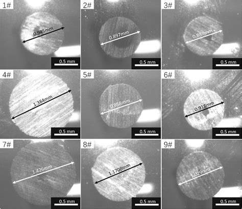 Optical Micrograph Taken From Si3n4 Interfaces After Dry Sliding Download Scientific Diagram