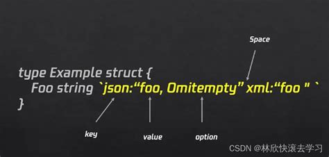 为什么 Go 语言 Struct 要使用 Tags