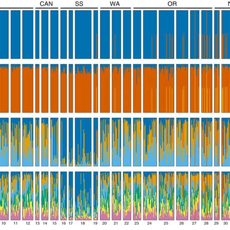 Bayesian Clustering Results From Structure For All Samples And Loci