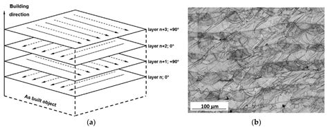 Microstructure Of Powder Bed Fusion 316 L Stainless Steel Colonies Of Cells Perfect 3d