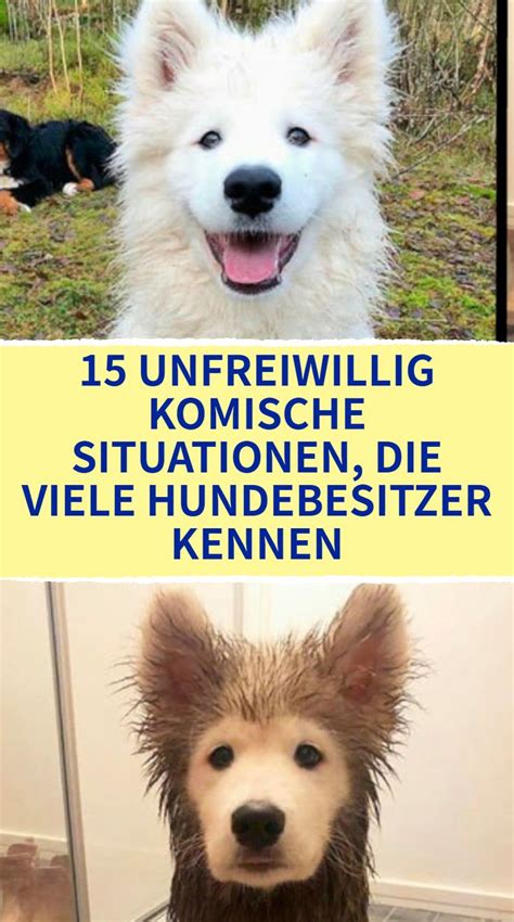15 Unfreiwillig Komische Situationen Mit Hunden