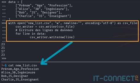 Python Et Csv Le Guide Pour Lire Et écrire Des Données