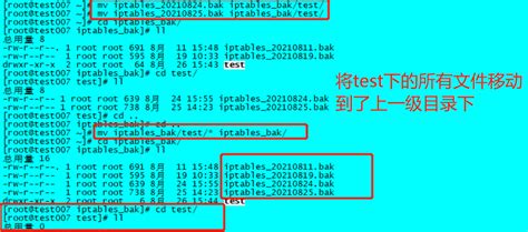 Linux Centos7 移动文件到指定目录 元月二一 博客园
