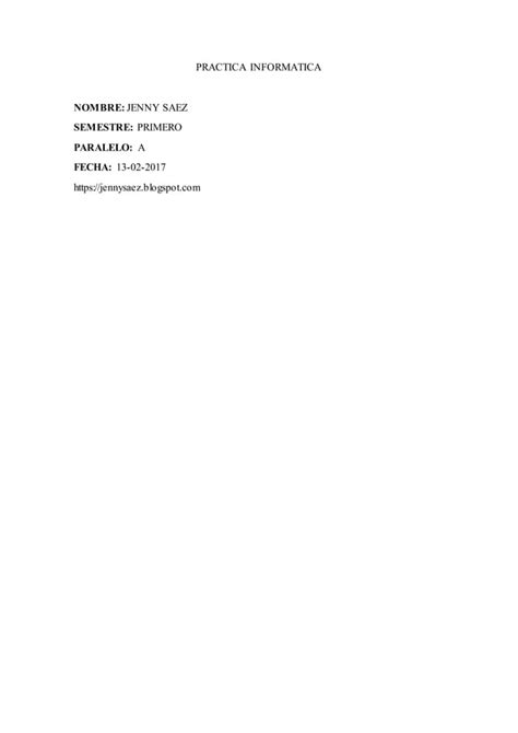 Practica Informatica Docx