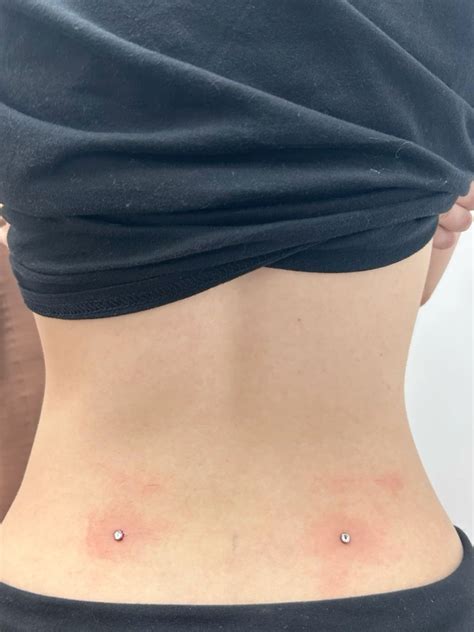 𝐁𝐀𝐑𝐁𝐈𝐄𝐋𝐕𝐑 In 2025 Dermal Piercing Unique Body Piercings Back