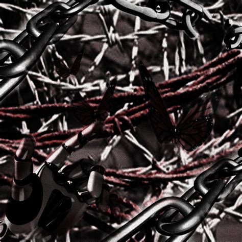 Wtf Is Wrong With Melilmh高音质在线试听wtf Is Wrong With Me歌词歌曲下载酷狗音乐