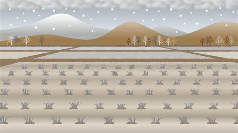 冬田 俳句の季語・冬・地理 俳句サイト 季語の庵