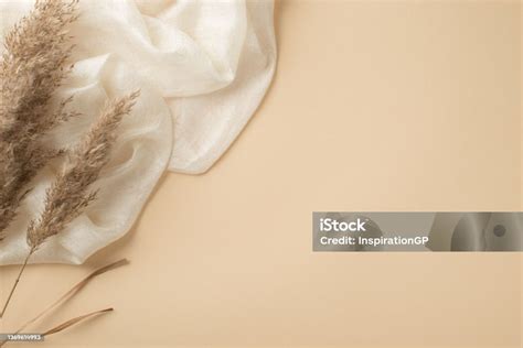 카피 스페이스와 고립 된 베이지 색 배경에 흰색 빛 스카프와 대지 꽃의 상단 보기 사진 플랫 레이에 대한 스톡 사진 및 기타 이미지 플랫 레이 말린 식물 억새 풀
