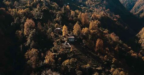 11 Best States For Homesteading In 2025 A Comprehensive Guide